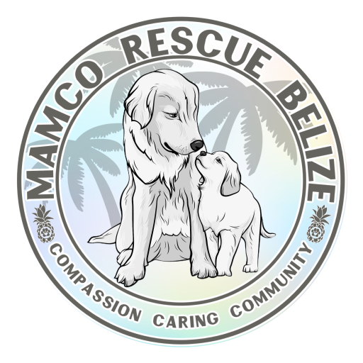 ABOUT US – MAMCO BELIZE