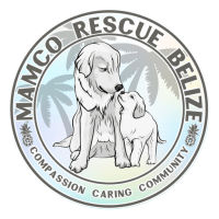 APPLICATION – MAMCO BELIZE
